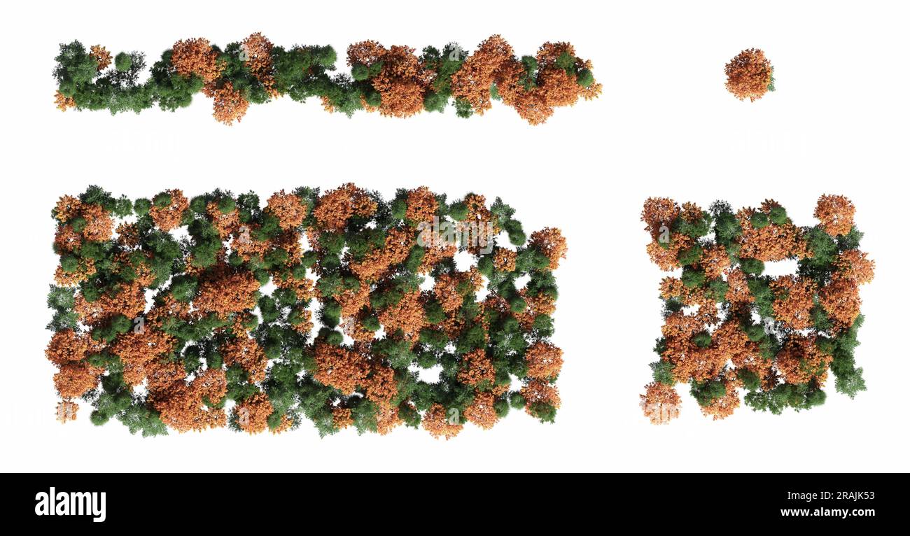 group of trees, top view, isolated on white background, 3D illustration ...