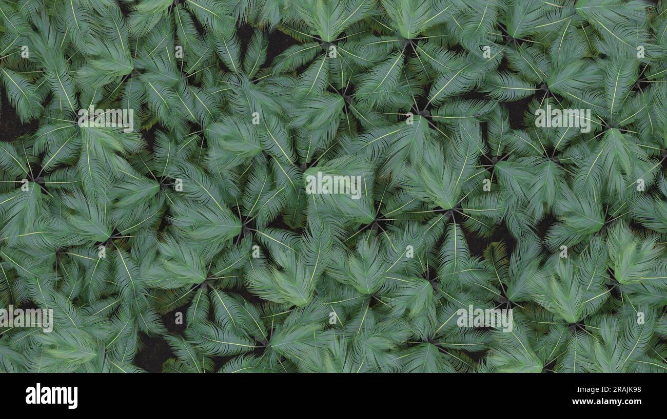 trees in the forest, top view, area view, 3D illustration, cg render ...