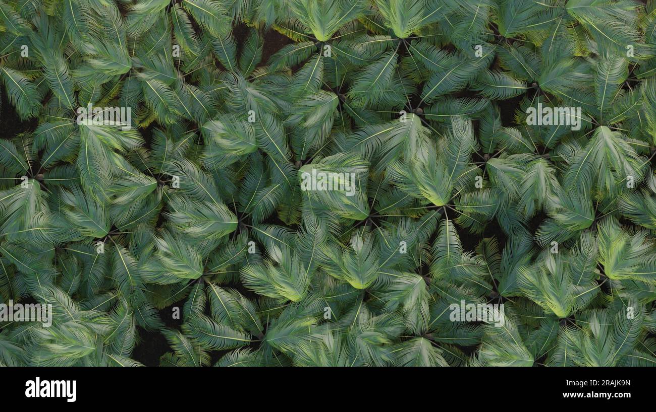 trees in the forest, top view, area view, 3D illustration, cg render ...