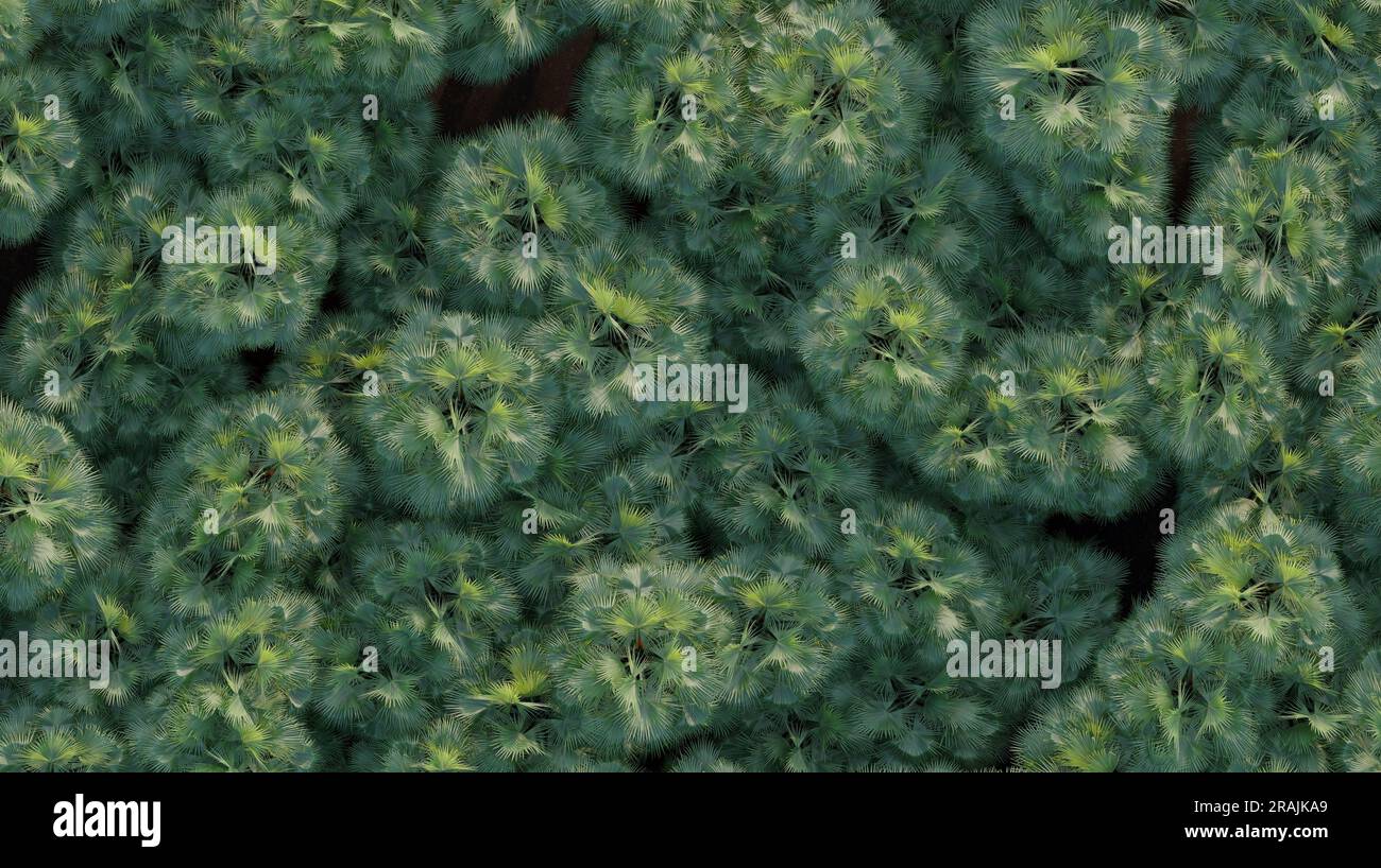 trees in the forest, top view, area view, 3D illustration, cg render ...