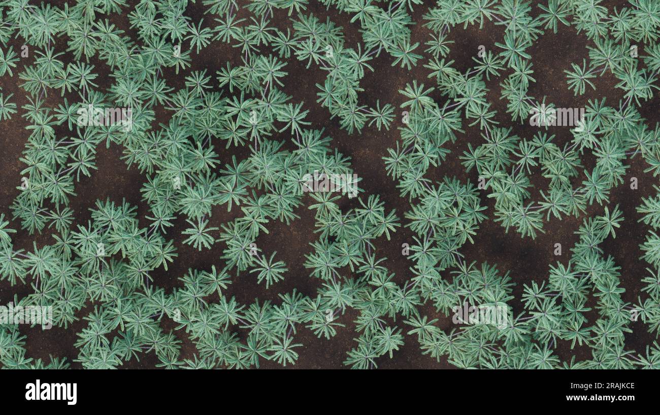 trees in the forest, top view, area view, 3D illustration, cg render ...