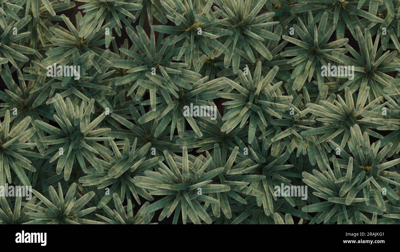 trees in the forest, top view, area view, 3D illustration, cg render ...