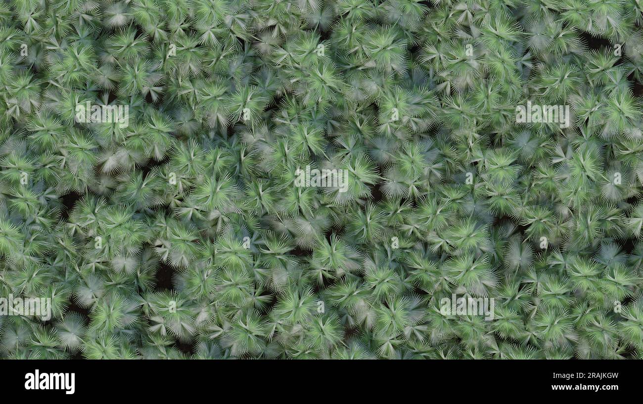 trees in the forest, top view, area view, 3D illustration, cg render ...