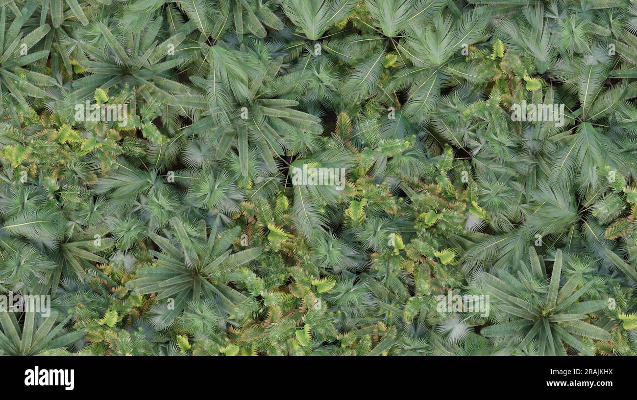 trees in the forest, top view, area view, 3D illustration, cg render ...
