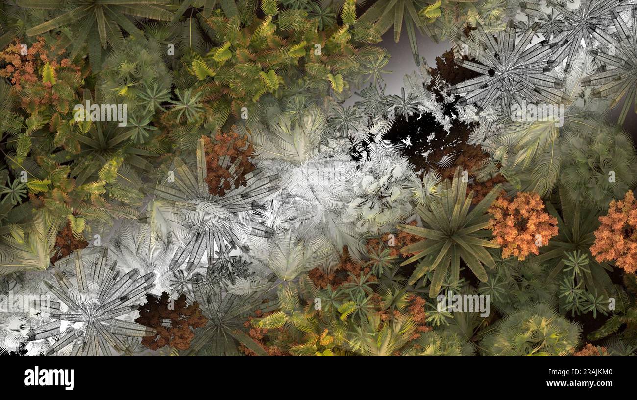 trees in the forest, top view, area view, 3D illustration, cg render ...