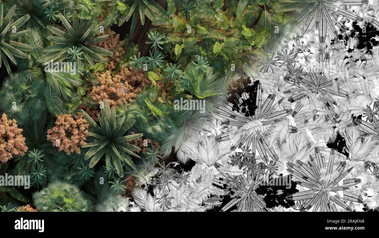 trees in the forest, top view, area view, 3D illustration, cg render ...
