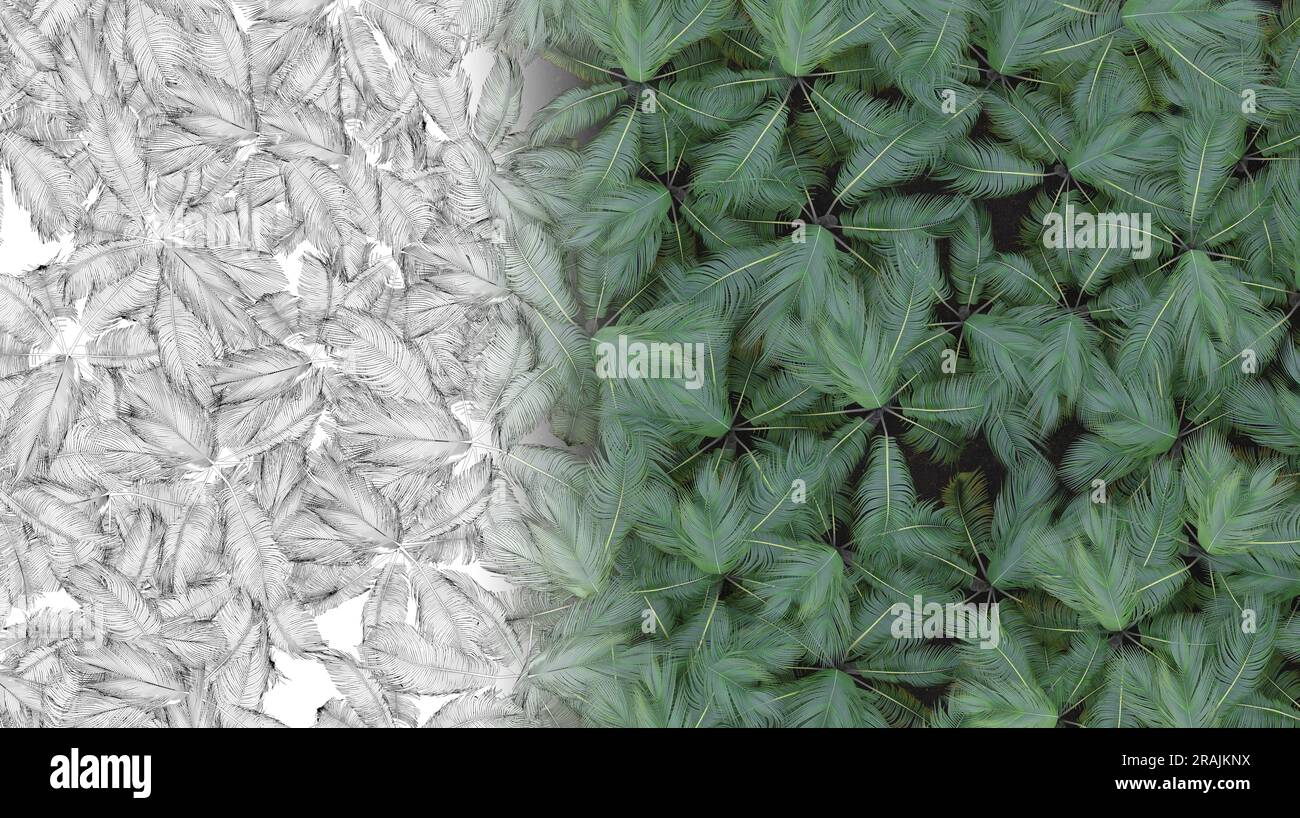 trees in the forest, top view, area view, 3D illustration, cg render ...