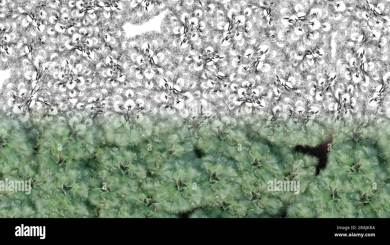 trees in the forest, top view, area view, 3D illustration, cg render ...