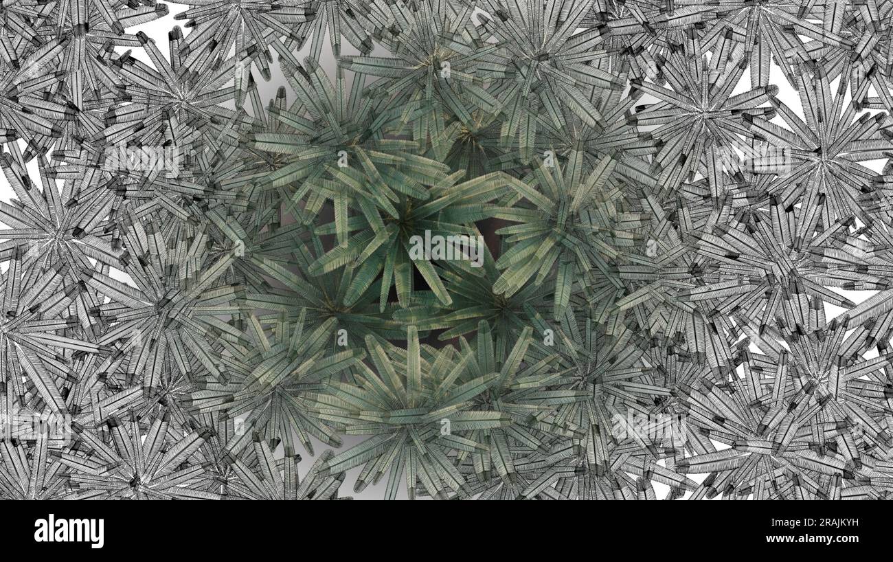 trees in the forest, top view, area view, 3D illustration, cg render ...