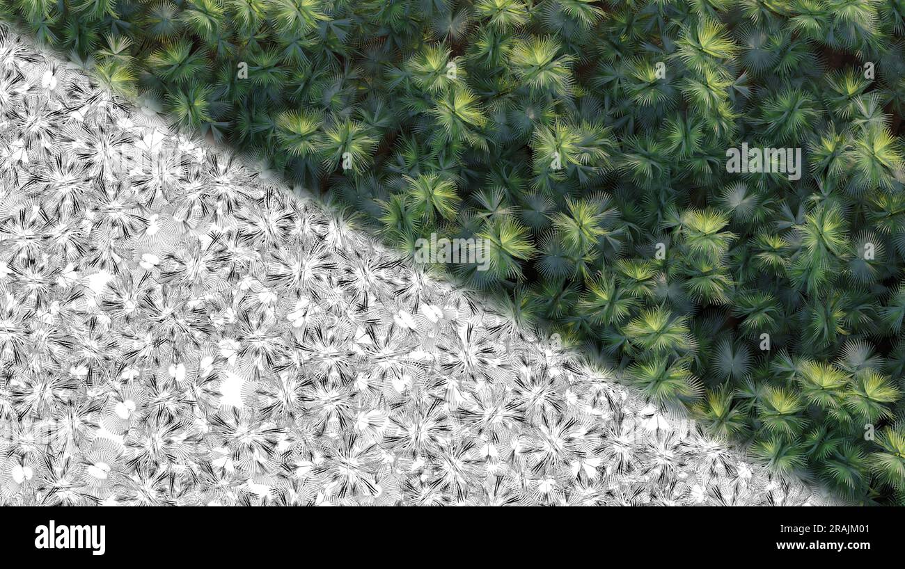 trees in the forest, top view, area view, 3D illustration, cg render ...