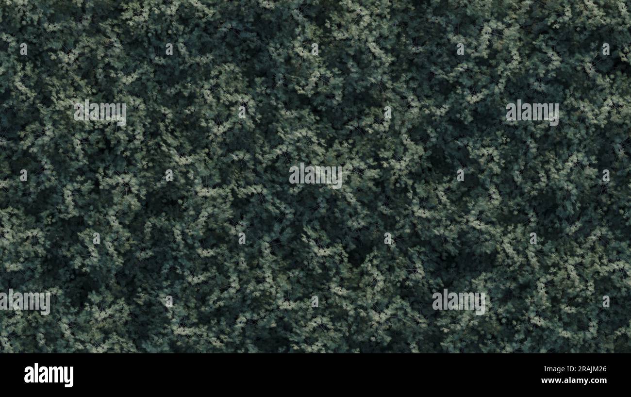trees in the forest, top view, area view, 3D illustration, cg render ...