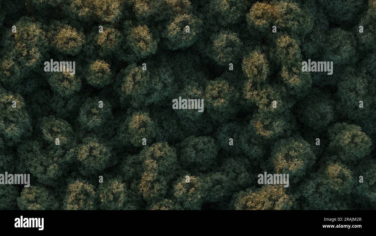 trees in the forest, top view, area view, 3D illustration, cg render ...