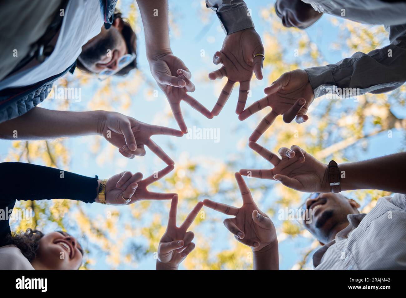 Creative people, hands and star in teamwork, solidarity or ...