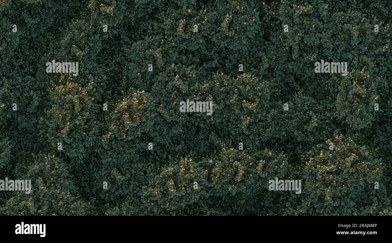 trees in the forest, top view, area view, 3D illustration, cg render ...