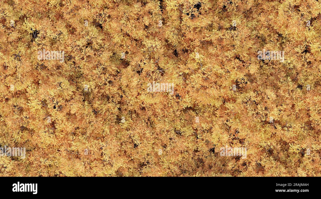 trees in the forest, top view, area view, 3D illustration, cg render ...