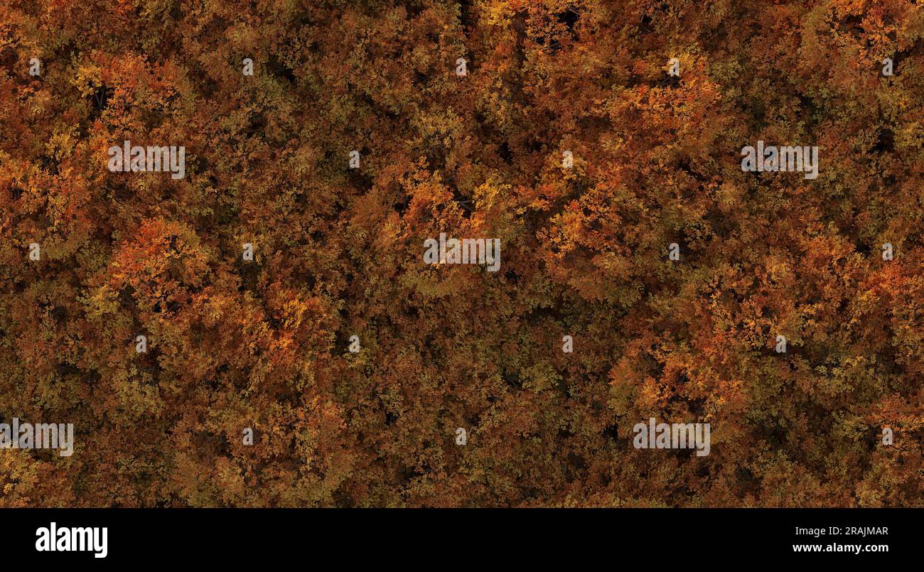 trees in the forest, top view, area view, 3D illustration, cg render ...