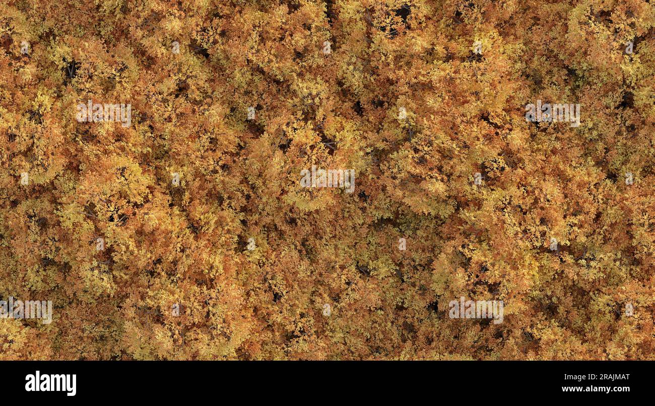 trees in the forest, top view, area view, 3D illustration, cg render ...
