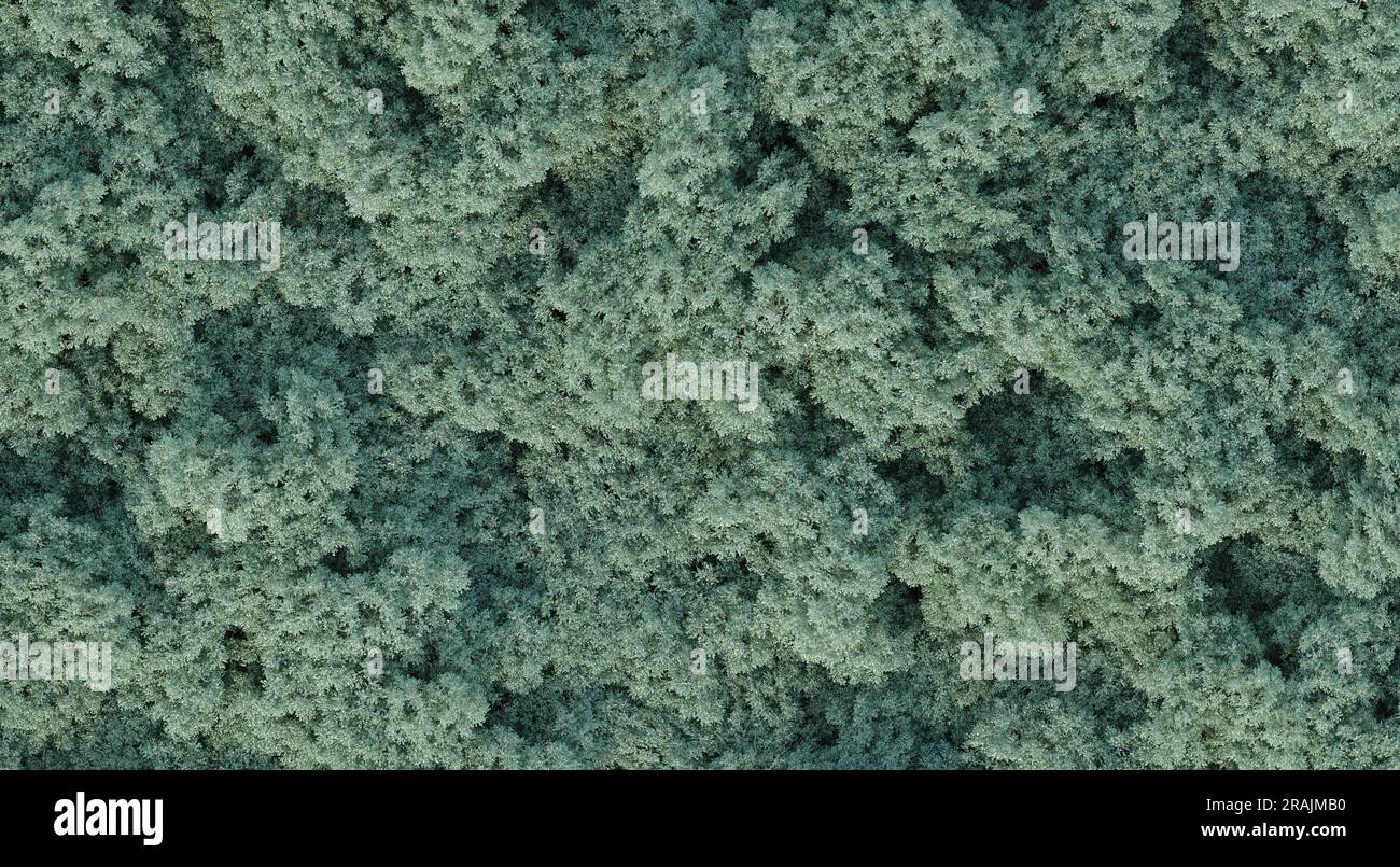 trees in the forest, top view, area view, 3D illustration, cg render ...