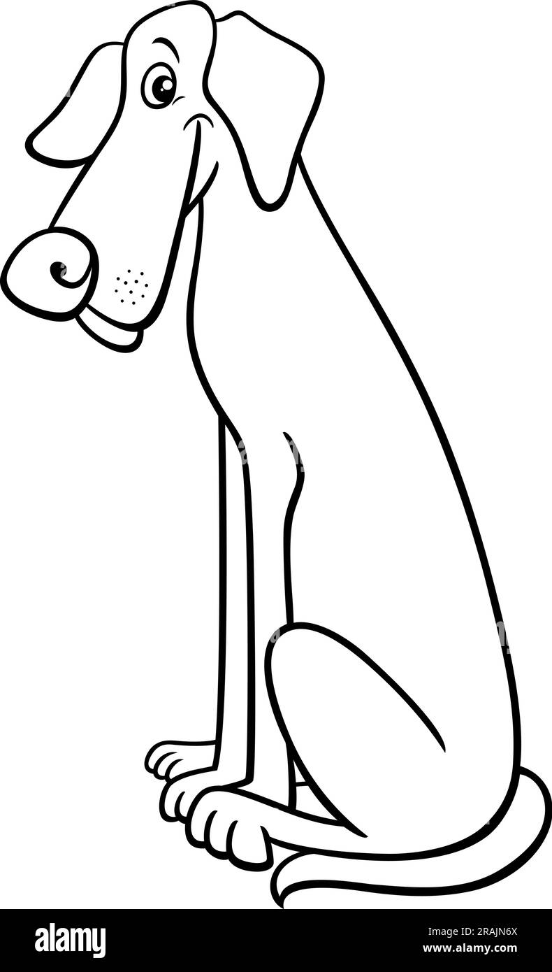 Black and white cartoon illustration of sitting Great Dane purebred dog ...