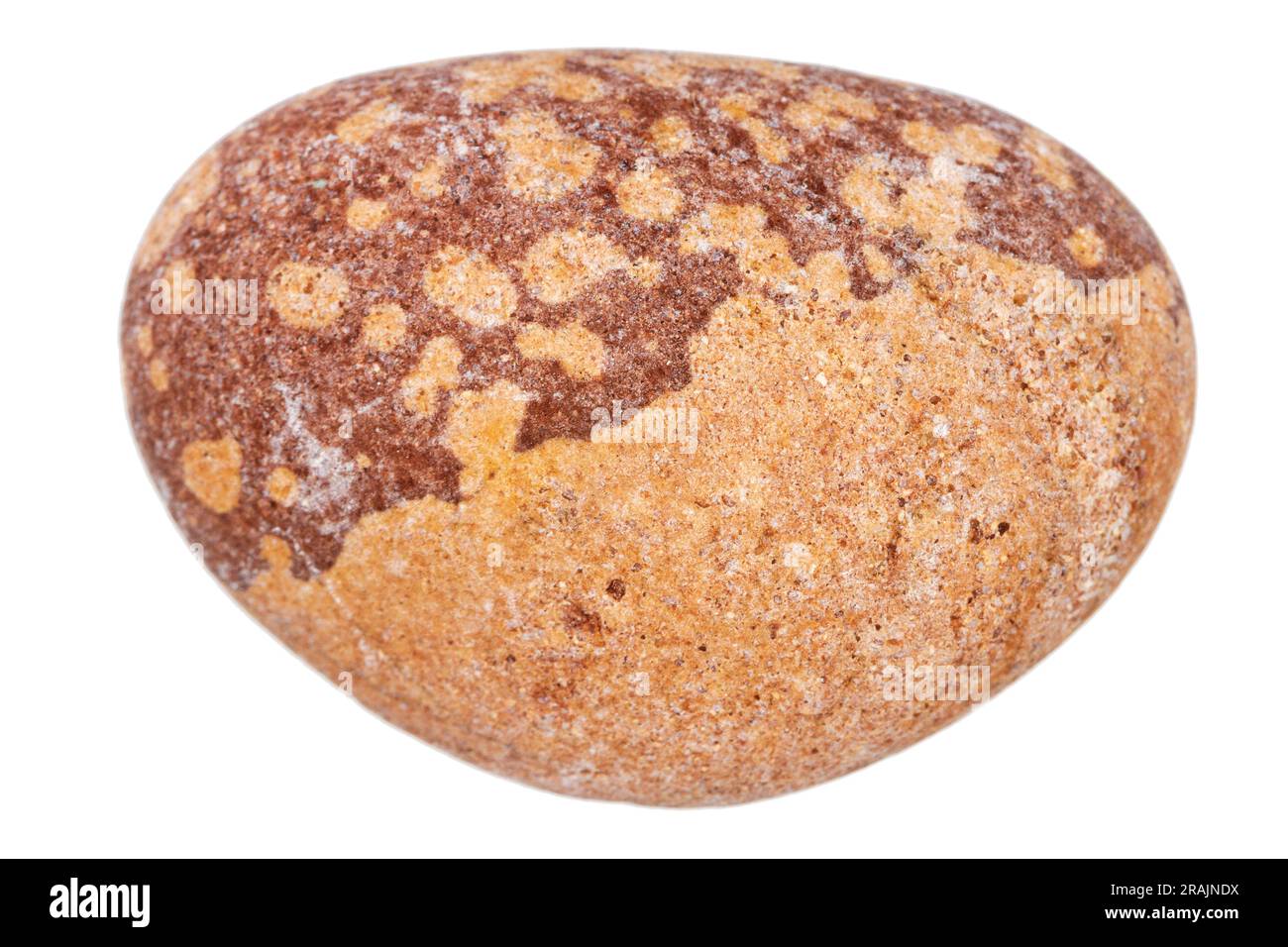 Top view of single red pebble isolated on white background Stock Photo ...