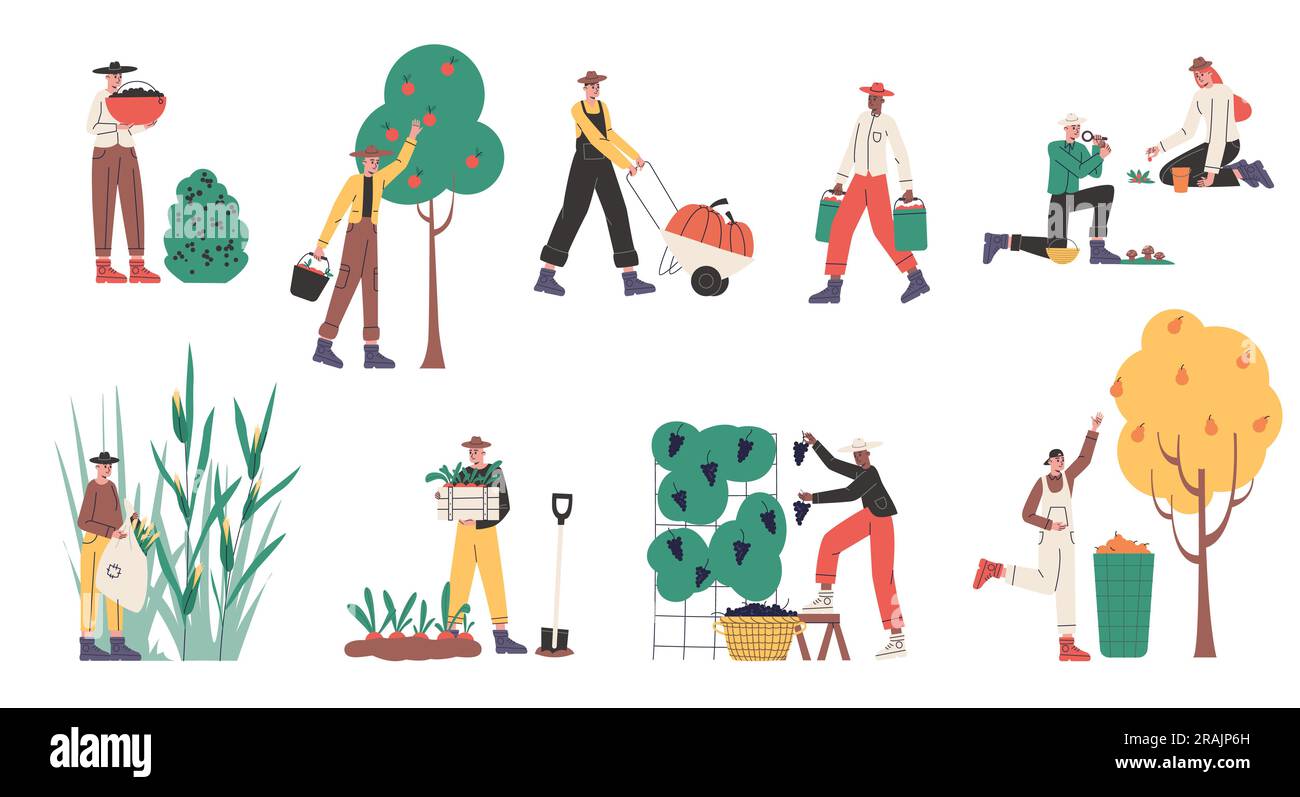 Cartoon harvesting farmers. People with baskets and buckets collecting ...