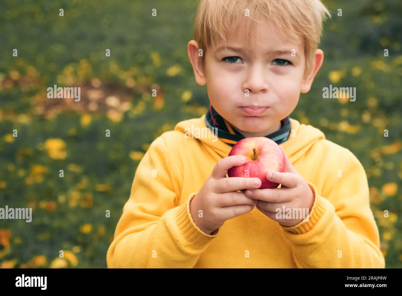 Young Child in the Apple Orchard after Harvesting. Small Toddler Boy ...