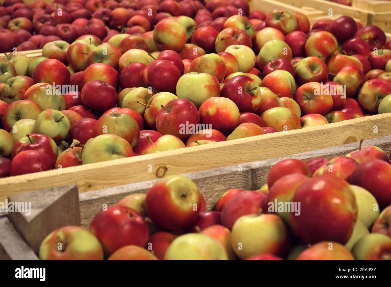 Cold storage warehouse interior hi-res stock photography and images - Alamy