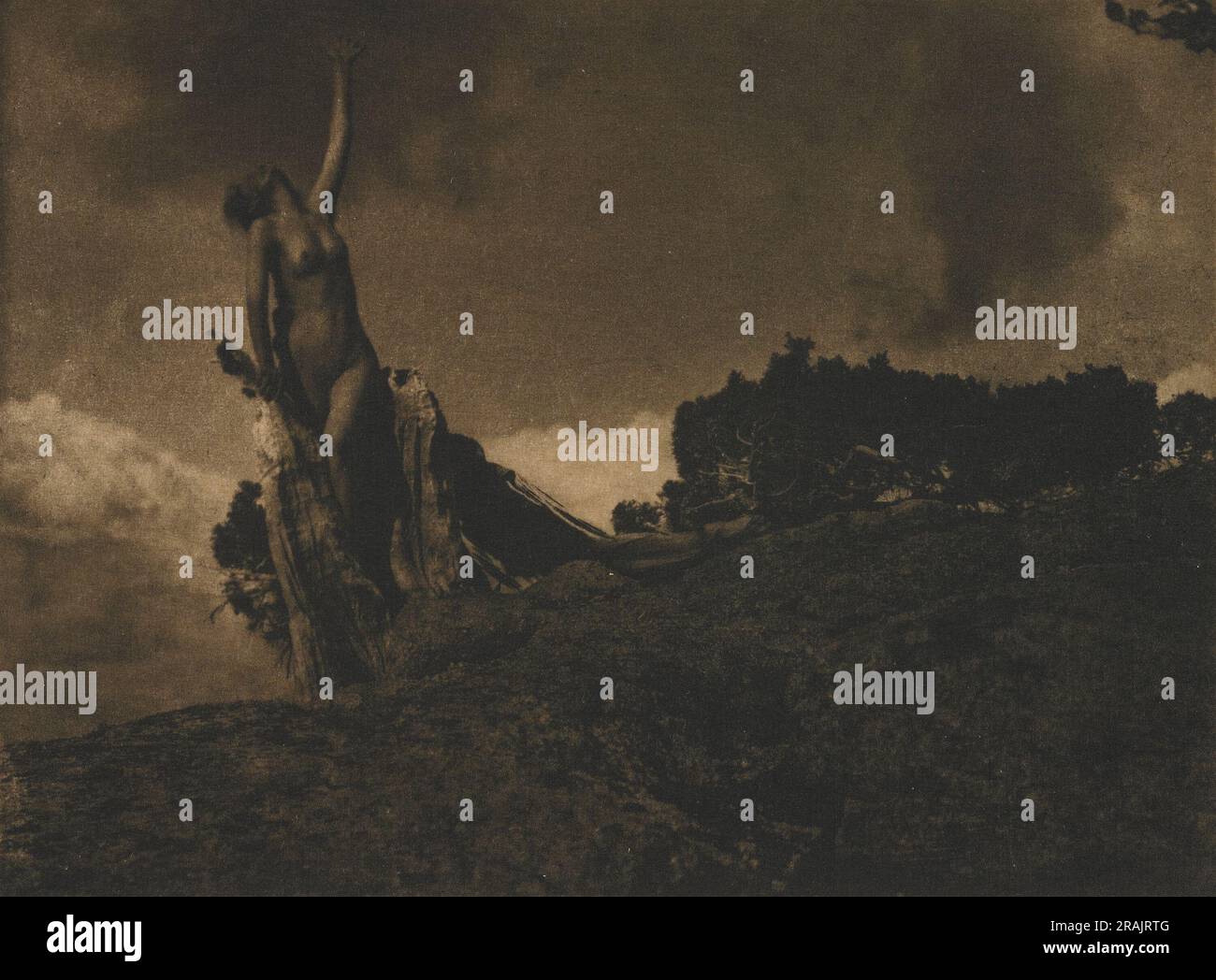 Soul of the Blasted Pine 1909 by Anne Brigman Stock Photo - Alamy