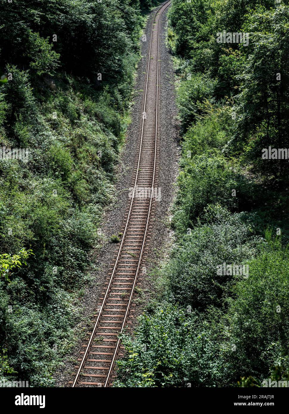 a railway in the spring forest. Tunnel of rails, trees and the railroad ...