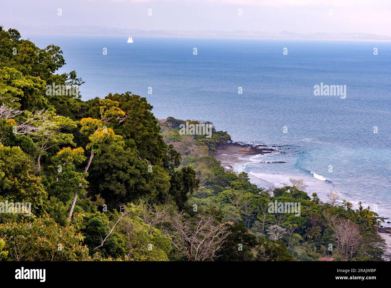 The tropical rainforest meets the Pacific Ocean at Osa Penninsula ...