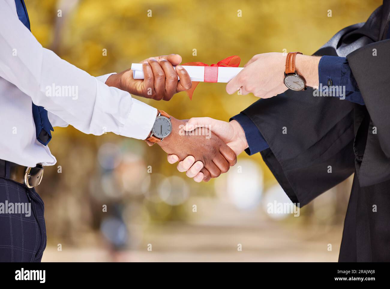 Graduation certificate, handshake and student in success, achievement ...