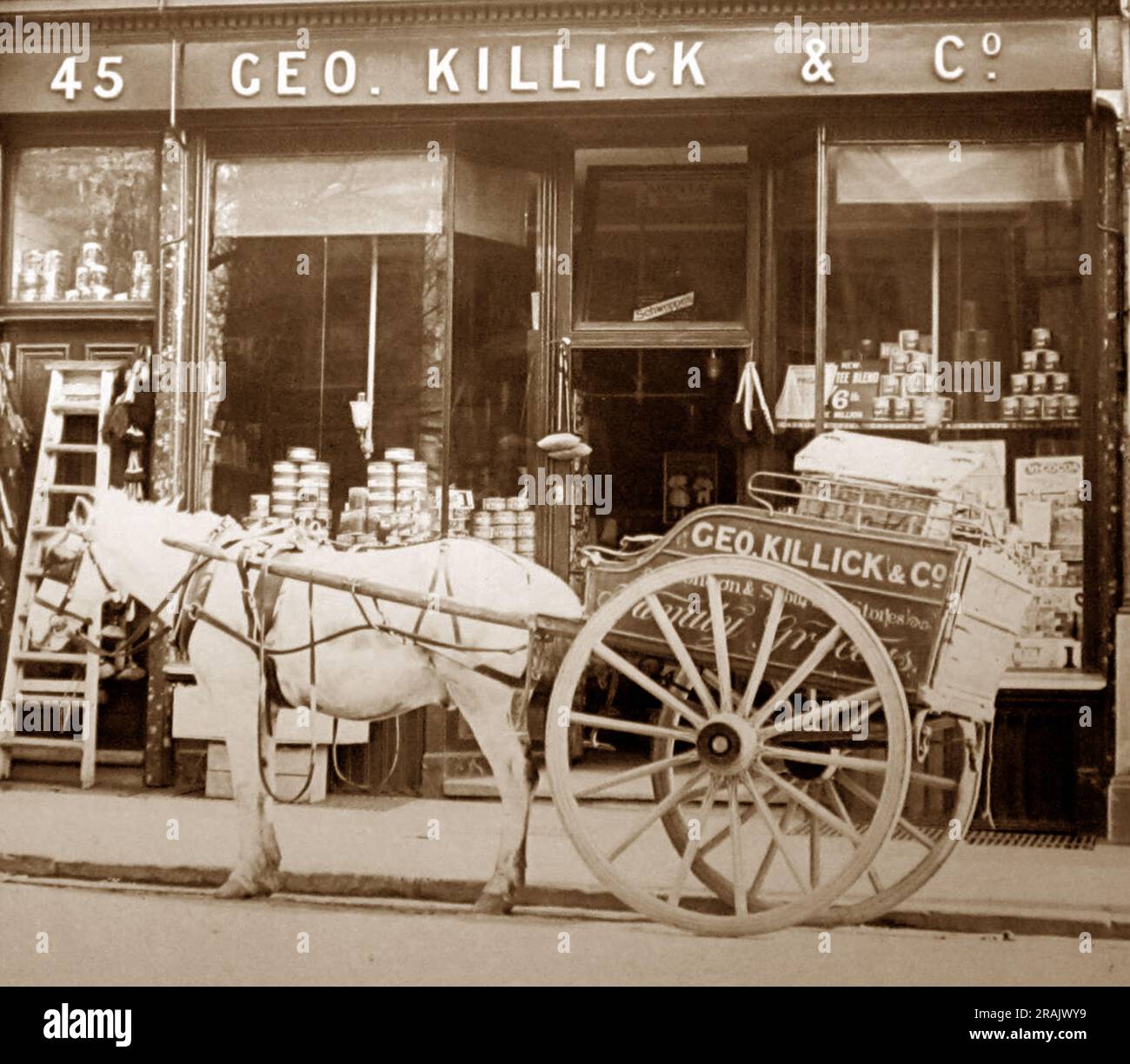 Grocer's shop, early 1900s Stock Photo - Alamy