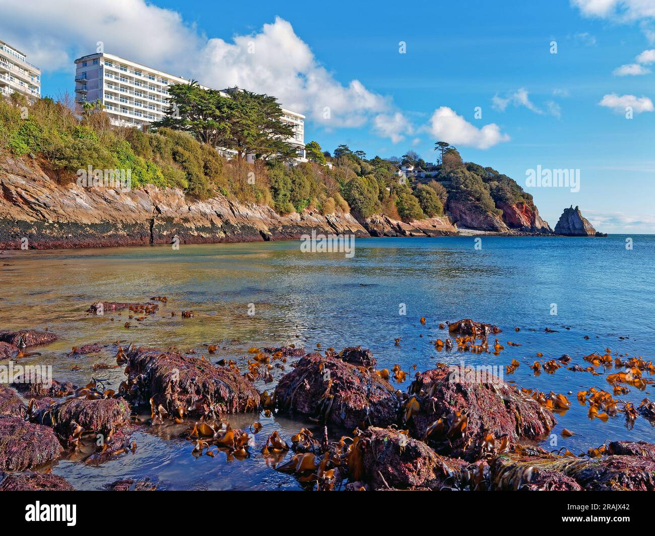 UK, Devon, Torbay, Torquay, Imperial Hotel and Saddle Rock from Beacon ...