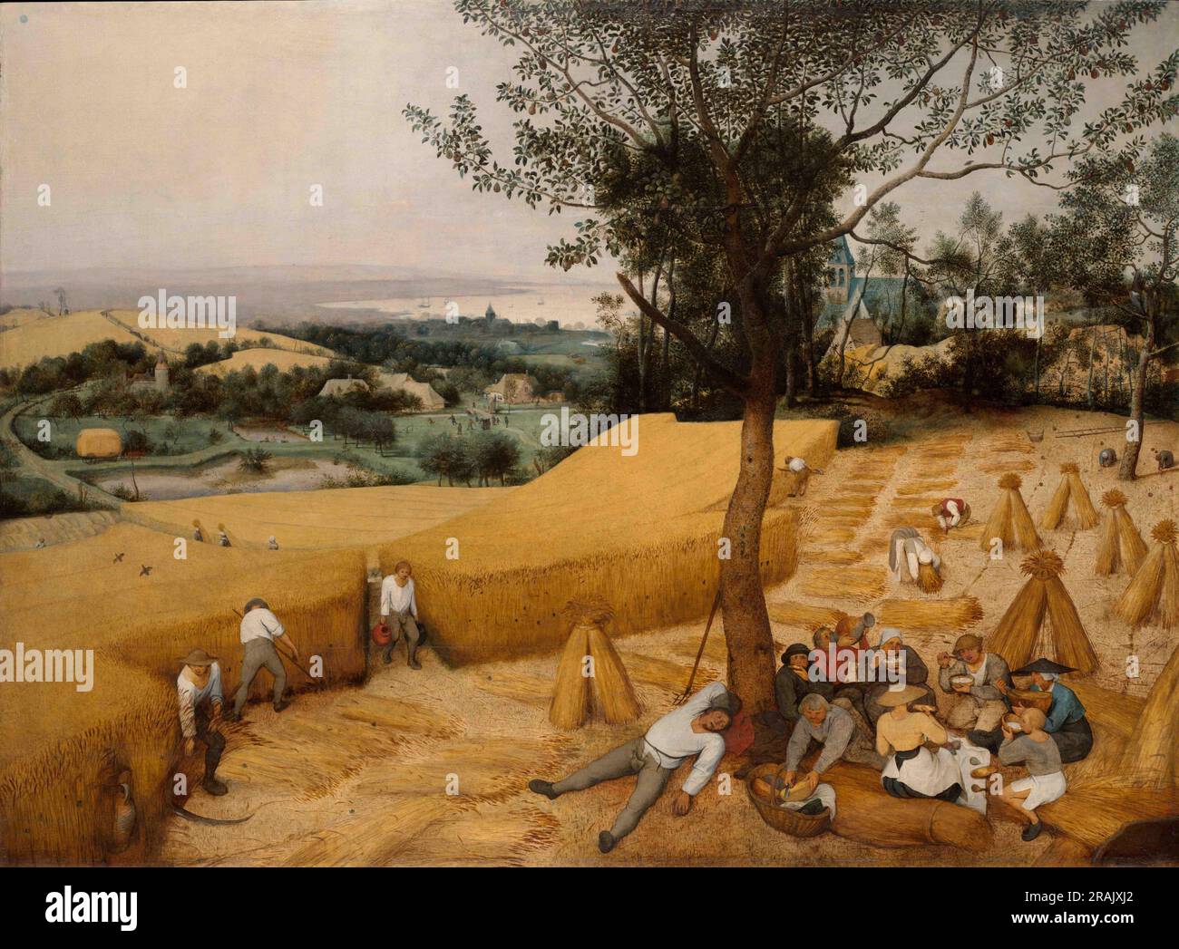 The Harvesters (July–August) 1565 by Pieter Bruegel the Elder Stock ...
