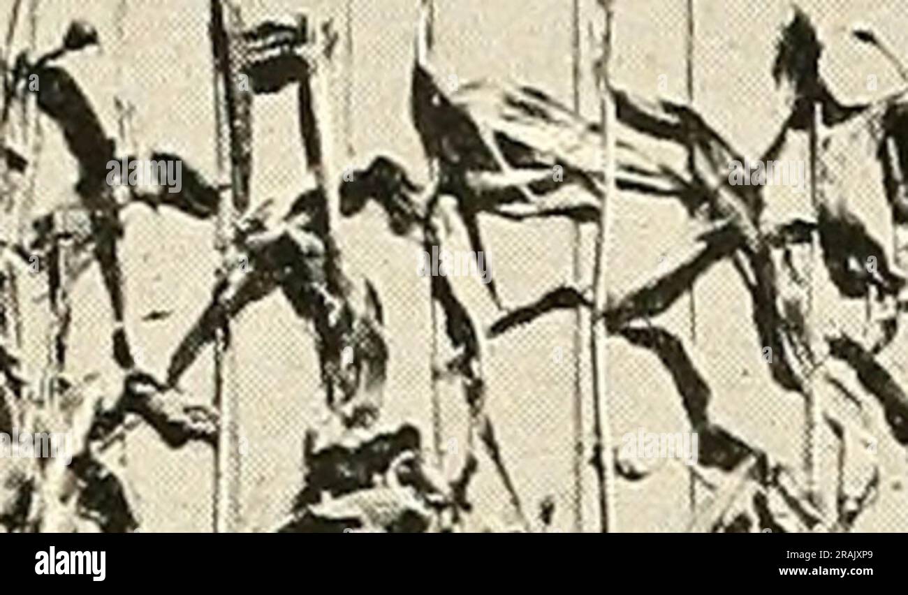 "The effects of inbreeding and crossbreeding upon development" (1918 ...