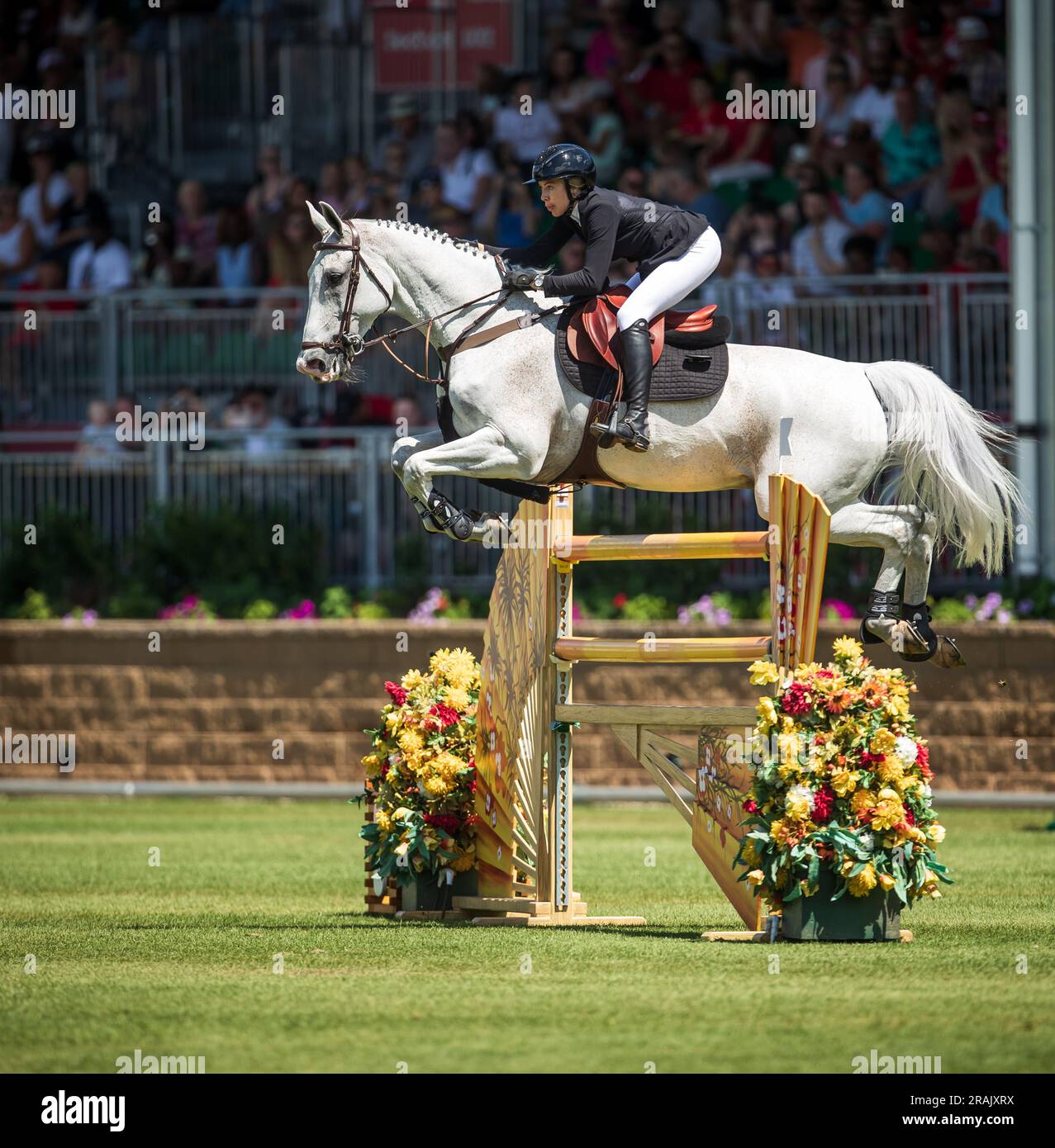 Hannah Selleck of the USA competes in the Rolex Pan American Grand Prix ...