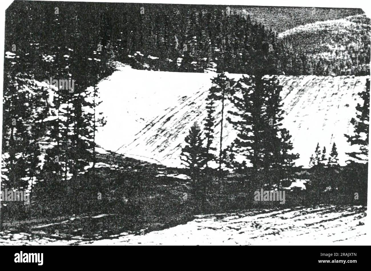 "Effects of the June, 1975 Mike Horse mine tailings dam failure on ...