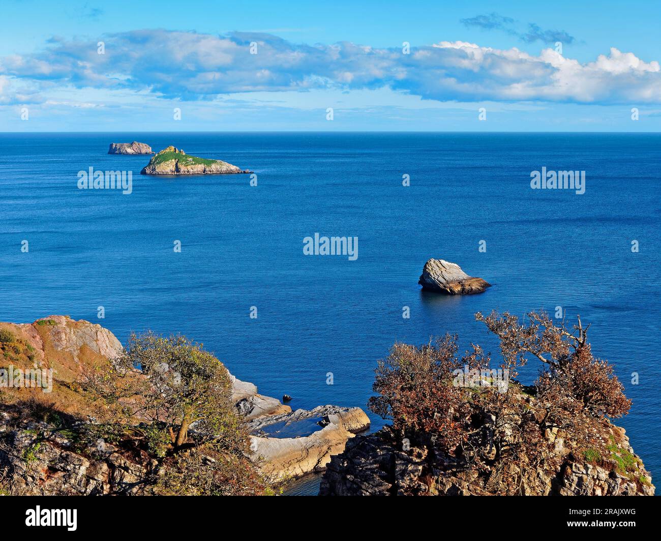 Thatcher devon hi-res stock photography and images - Alamy