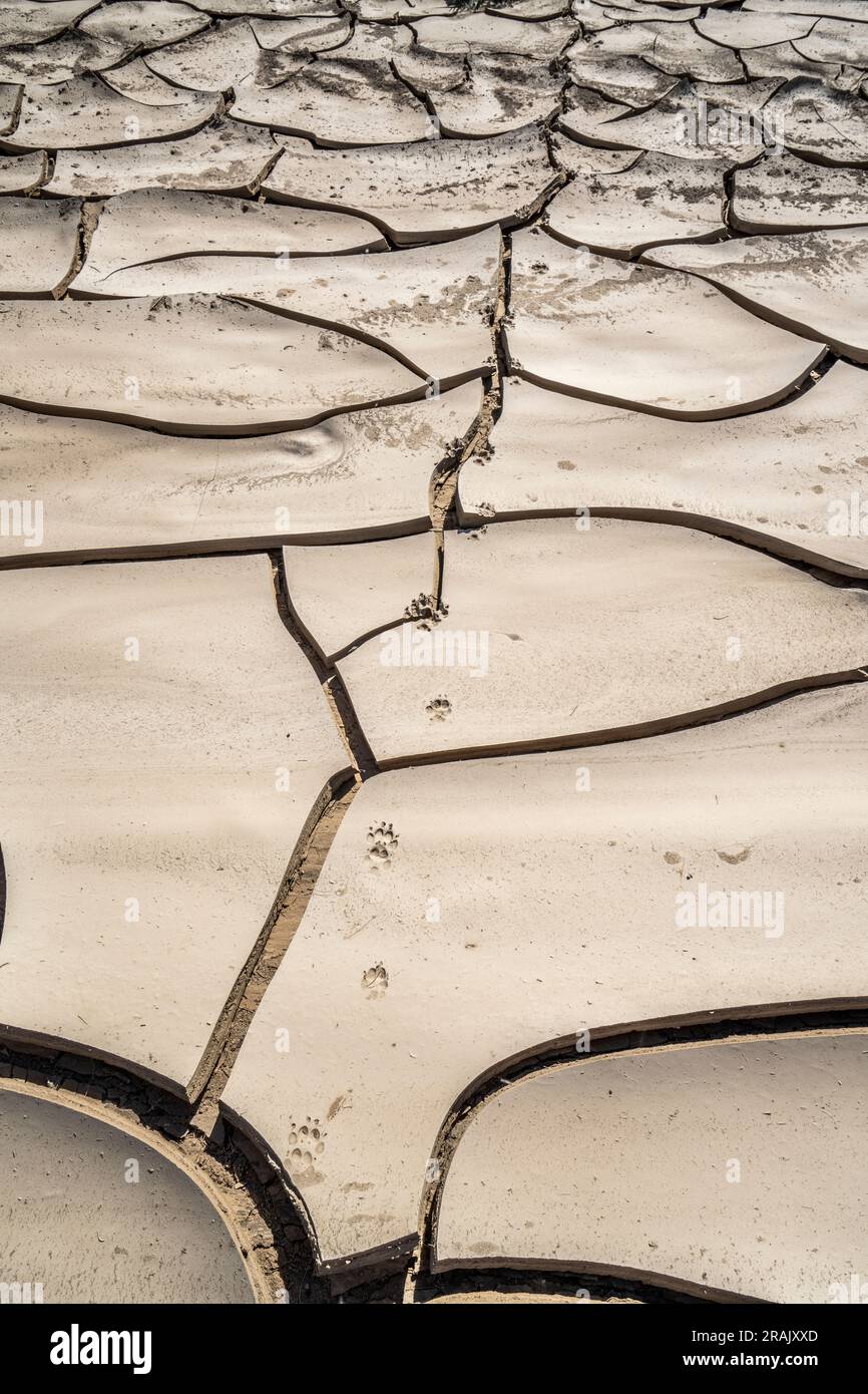 Drought Africa in a river. Dramatic cracked mud earth in a dry riverbed ...