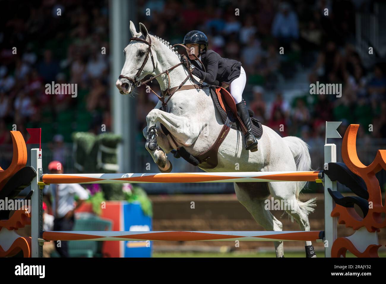 Rolex pan american cup hi-res stock photography and images - Alamy