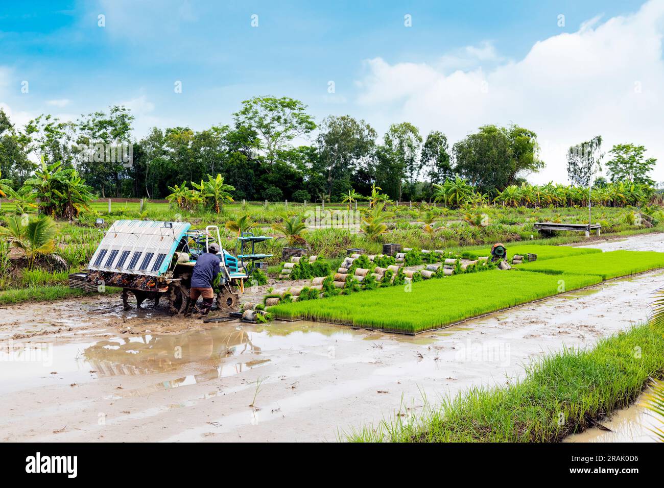 the latest advancements in rice planting machines and agricultural ...