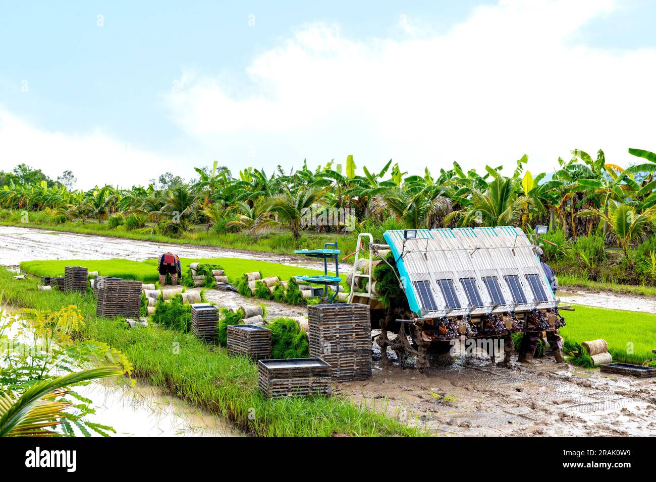 the latest advancements in rice planting machines and agricultural ...