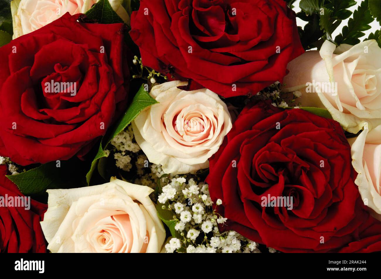 Flower bouquet of red and pink roses Stock Photo - Alamy