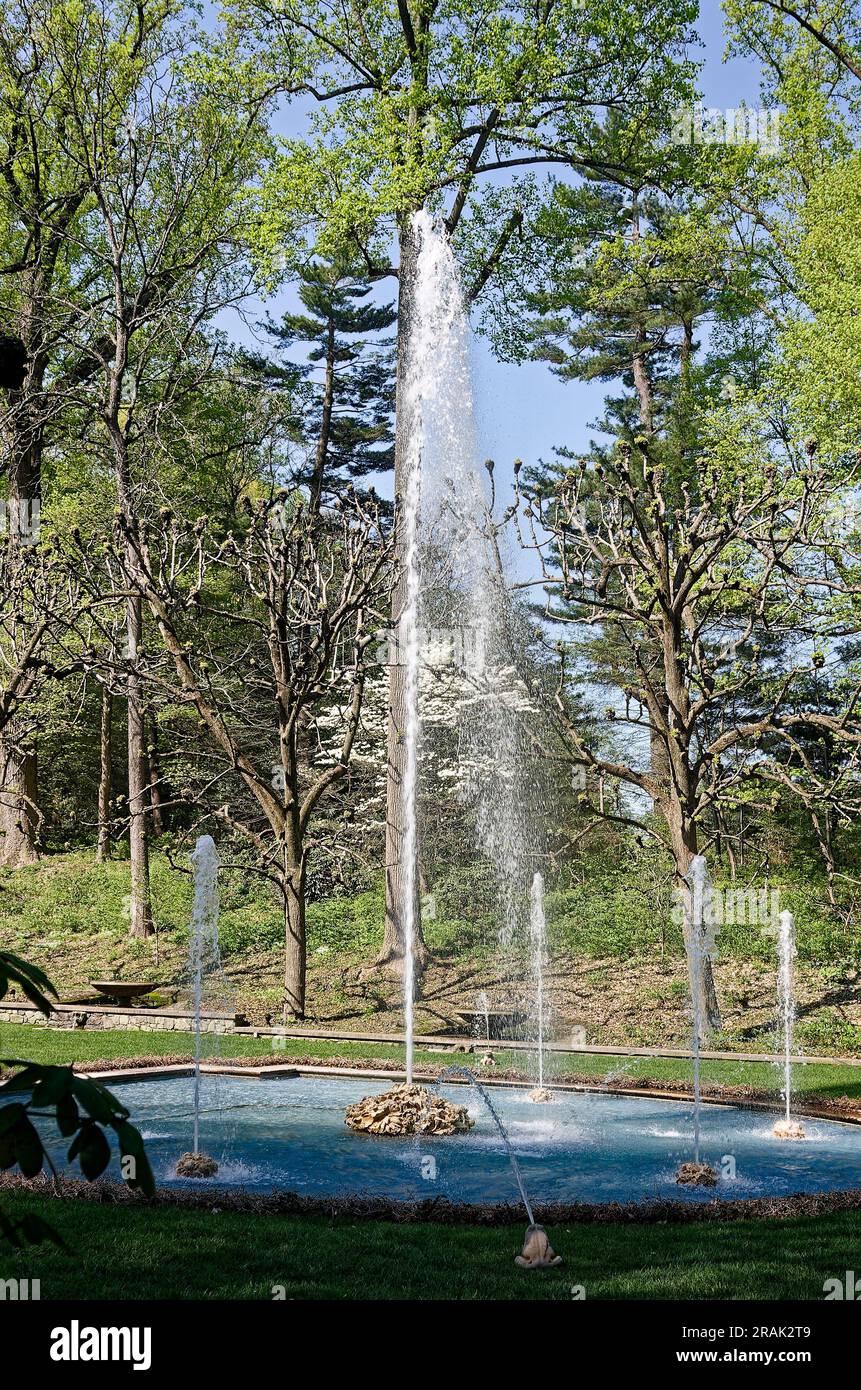 multiple fountain sprays, small pond, grass, trees, spring green ...