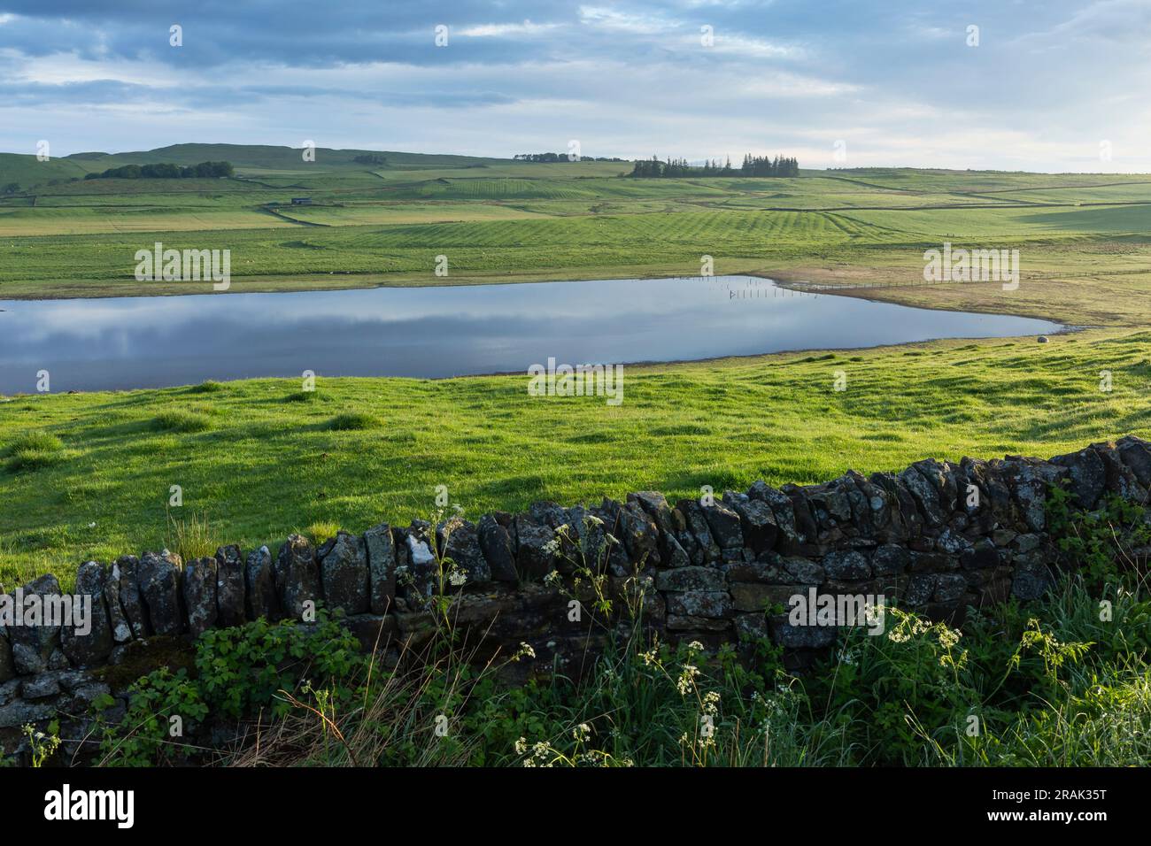 Landscape view of farmland and nature reserve, Grindon Lough ...