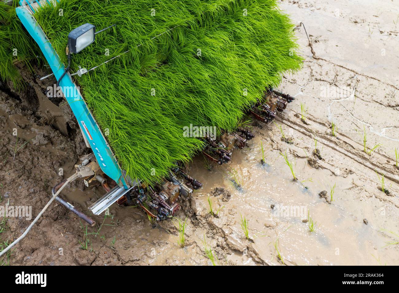 the latest advancements in rice planting machines and agricultural ...