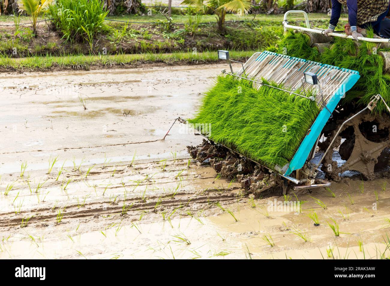 the latest advancements in rice planting machines and agricultural ...