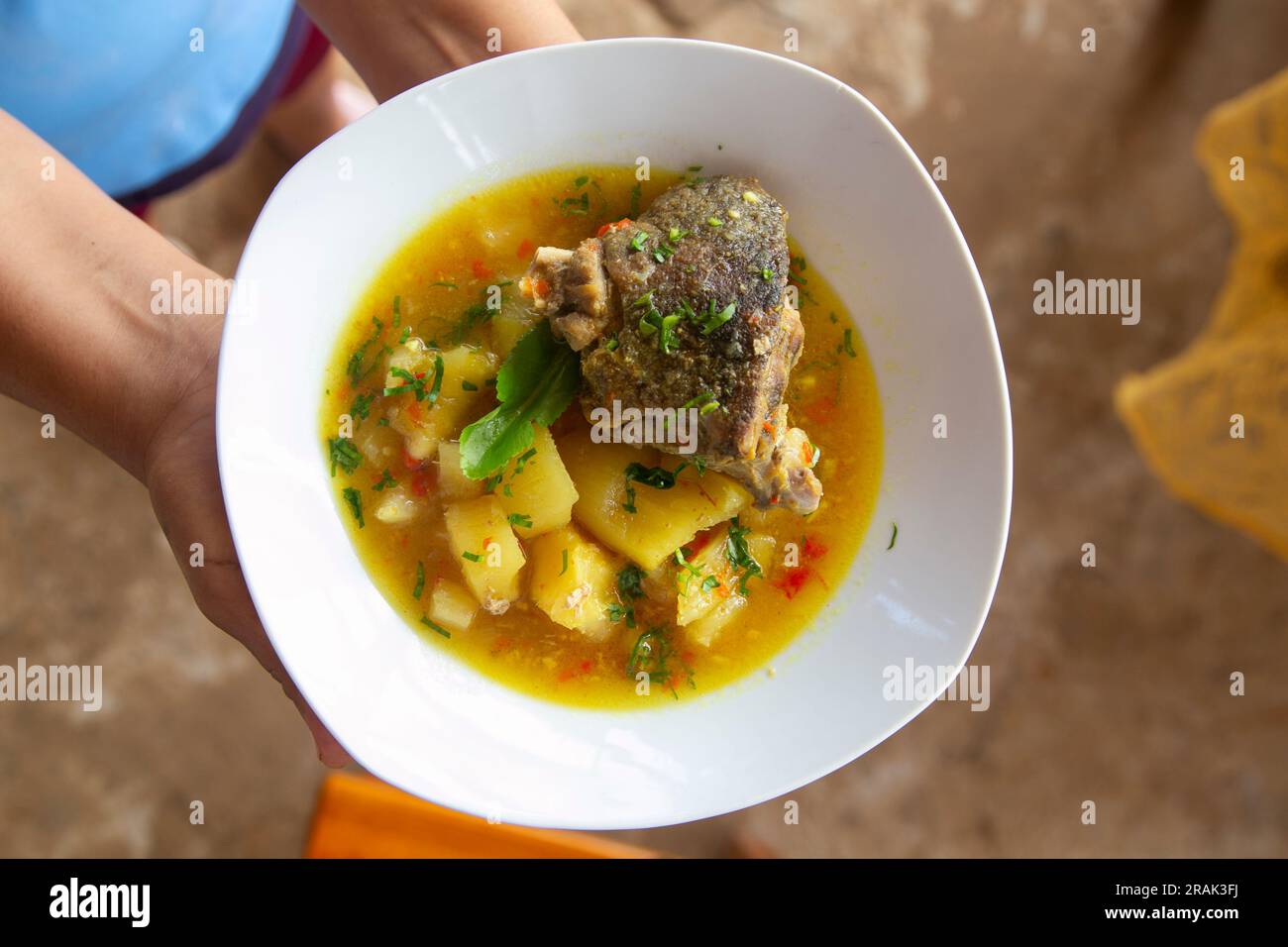 Majaz stewed. The majaz or paca is a species of rodent for meat that is ...
