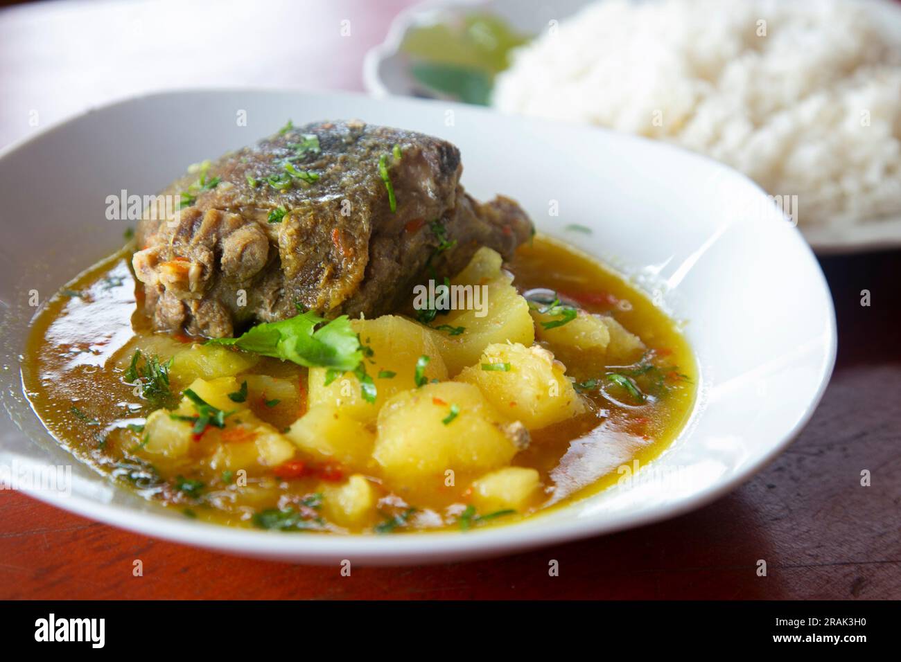 Majaz stewed. The majaz or paca is a species of rodent for meat that is ...