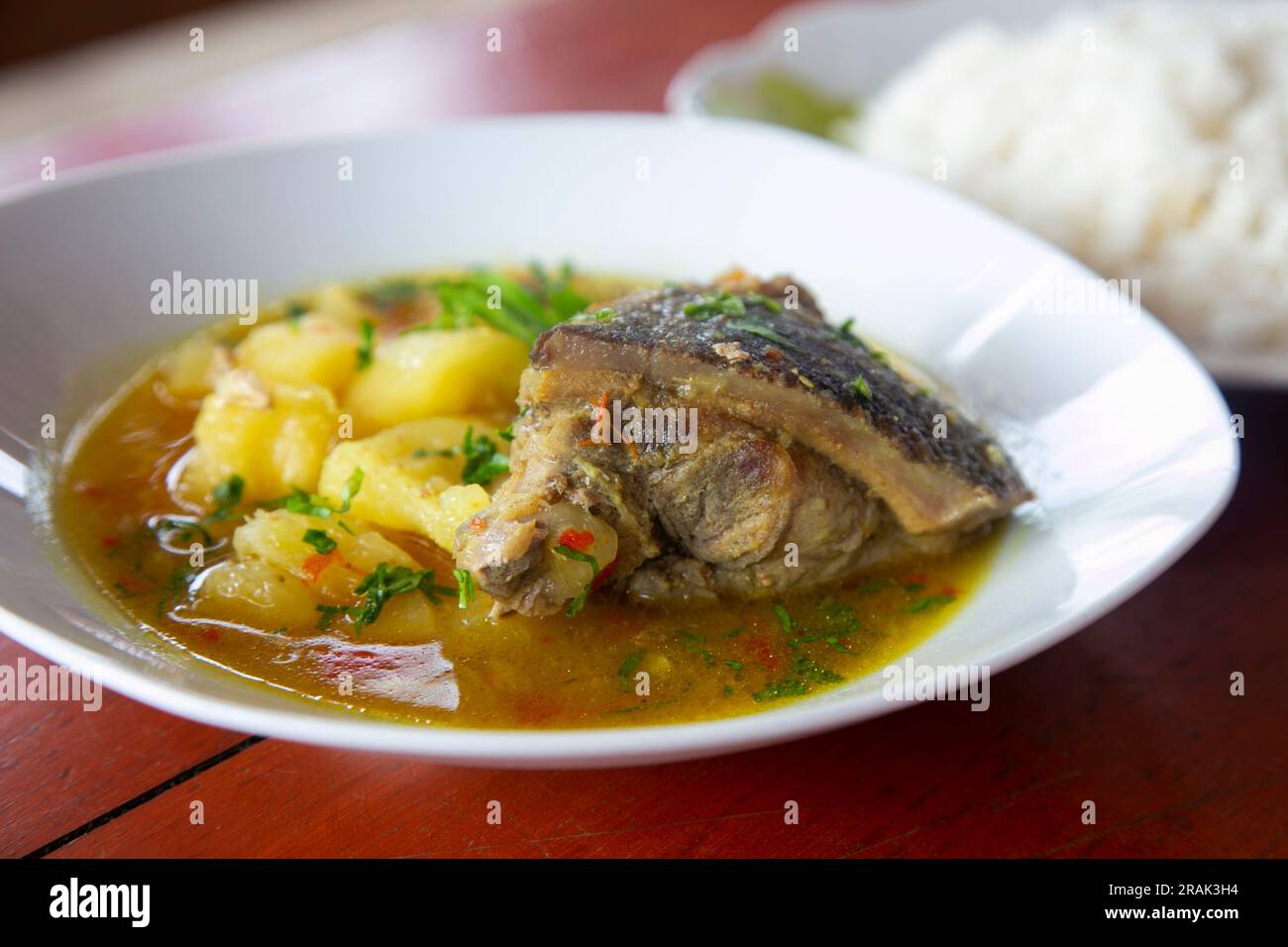Majaz stewed. The majaz or paca is a species of rodent for meat that is ...